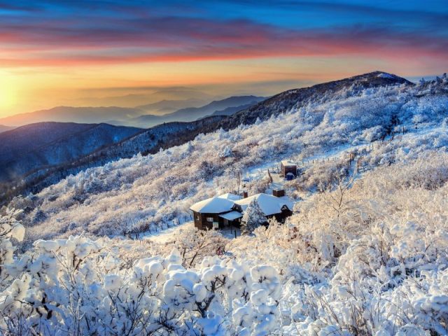 Kapan Musim dan Waktu Terbaik Mengunjungi Korea? Intip Jawabannya