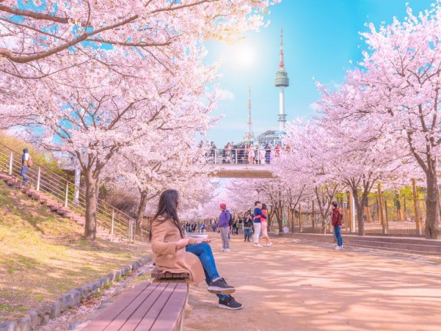 Kapan Musim dan Waktu Terbaik Mengunjungi Korea? Intip Jawabannya