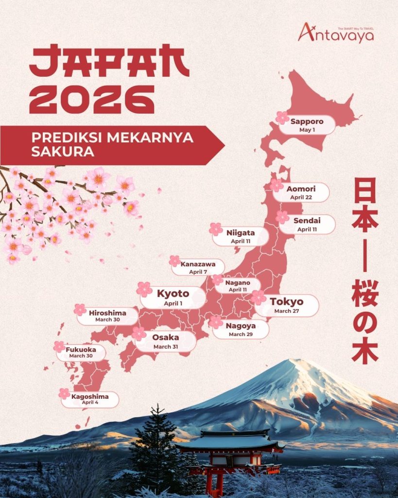 Prediksi Mekar Sakura Jepang 2026: Panduan Spot & Tanggal Lengkap